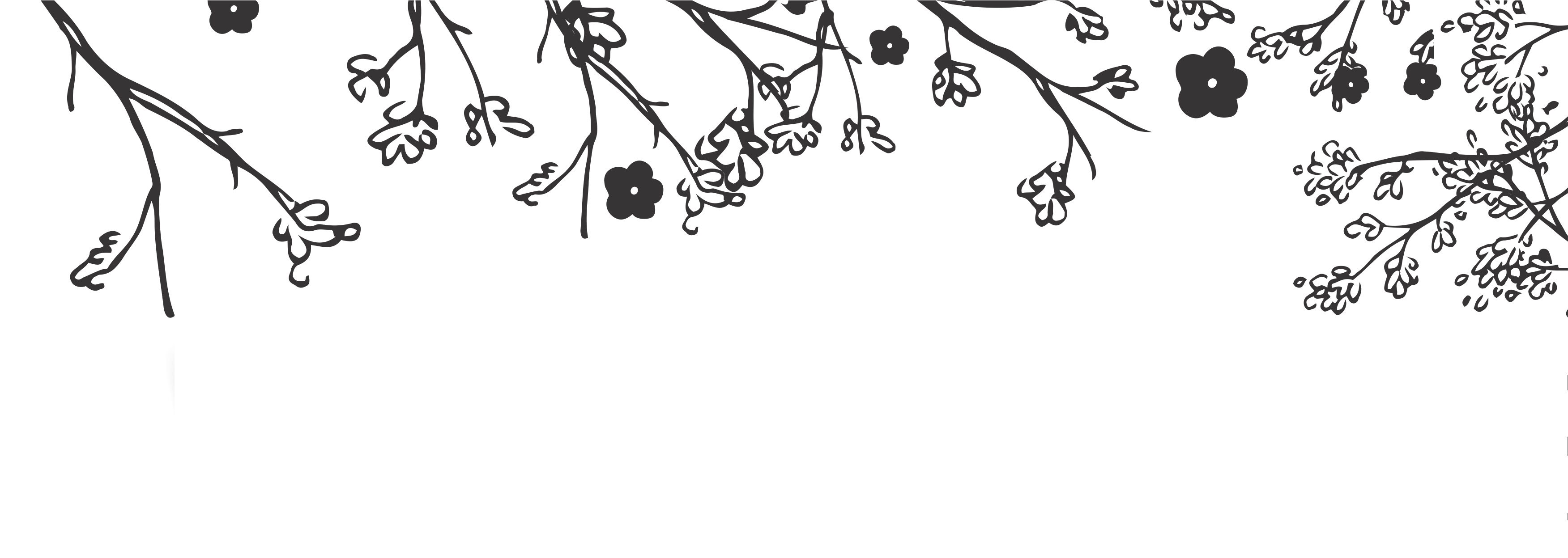 Creative & Pretty Bio-header2 - Canvas Print Co.